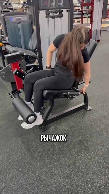 Разгибание ног сидя в тренажере. Жир уйдет! Читай описание 👇