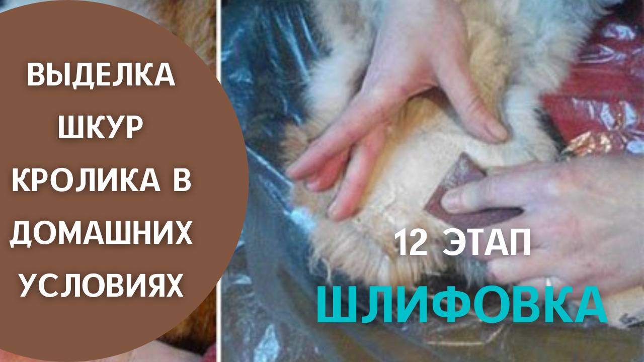 12 этап - "Шлифовка шкур"