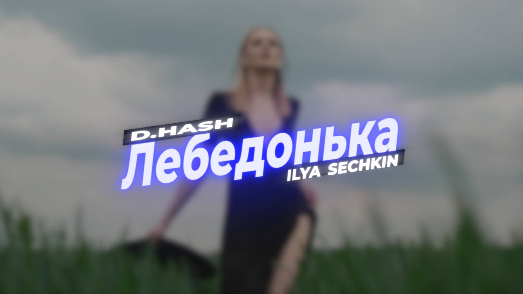 D.HASH x ILYA SECHKIN - ОЙ ГОРЕ, ГОРЕ (ЛЕБЕДОНЬКА)
