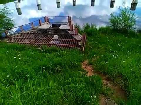 Питбайк в Петрово Дальнем + звуки лягушек и пруд 8 июн 2017