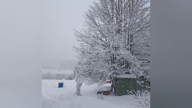 8 апреля 2025г.. 40 см. снега и продолжает увеличиваться . Владимирская область, Кольчугинский район