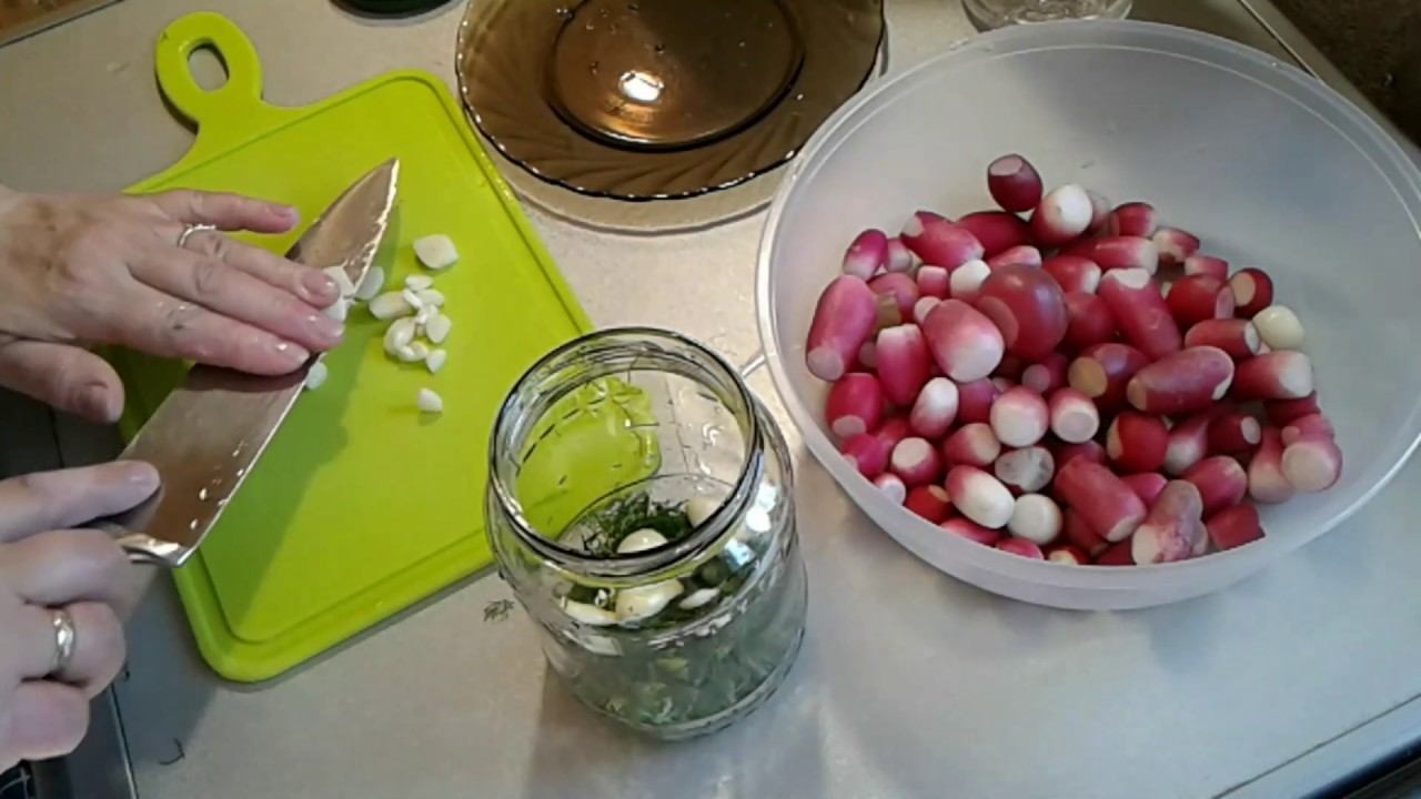 Редиска на зиму консервация  #рецепты #редис #консервация  #заготовкиназиму #recipe #назиму #radish