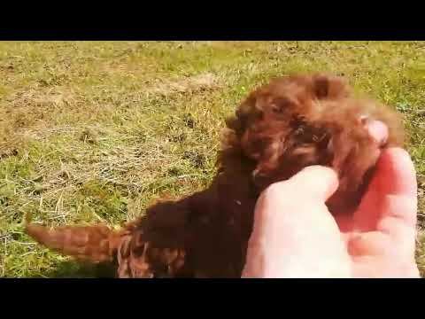 Так еще никто не позировал!