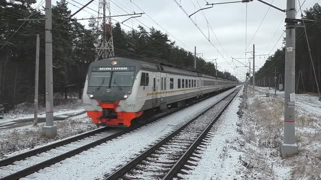 Электропоезд ЭД4М-0473 (ЦППК, ТЧПРИГ-20) пригородный поезд №6729/6730 Электрогорск - Лесной Городок.