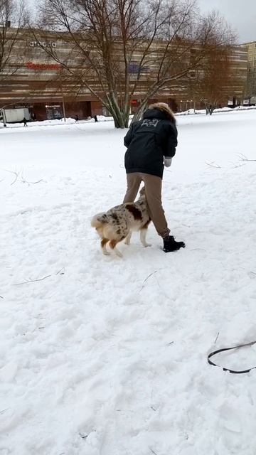 АО Райда - каскад, разнообразим броски