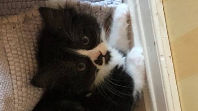 Жозефине сегодня 3 года.