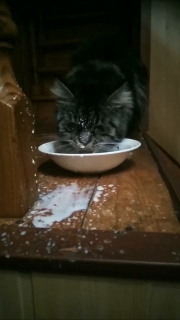 Смотрите со звуком. Интересно, а в животик ей что-нибудь попадает_