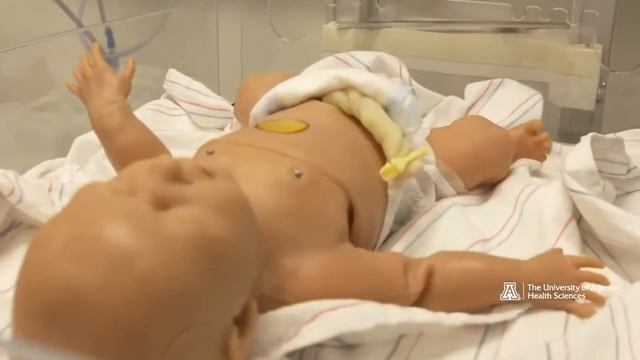 Виртуальный тур по аризонскому учебному центру технологий симуляций