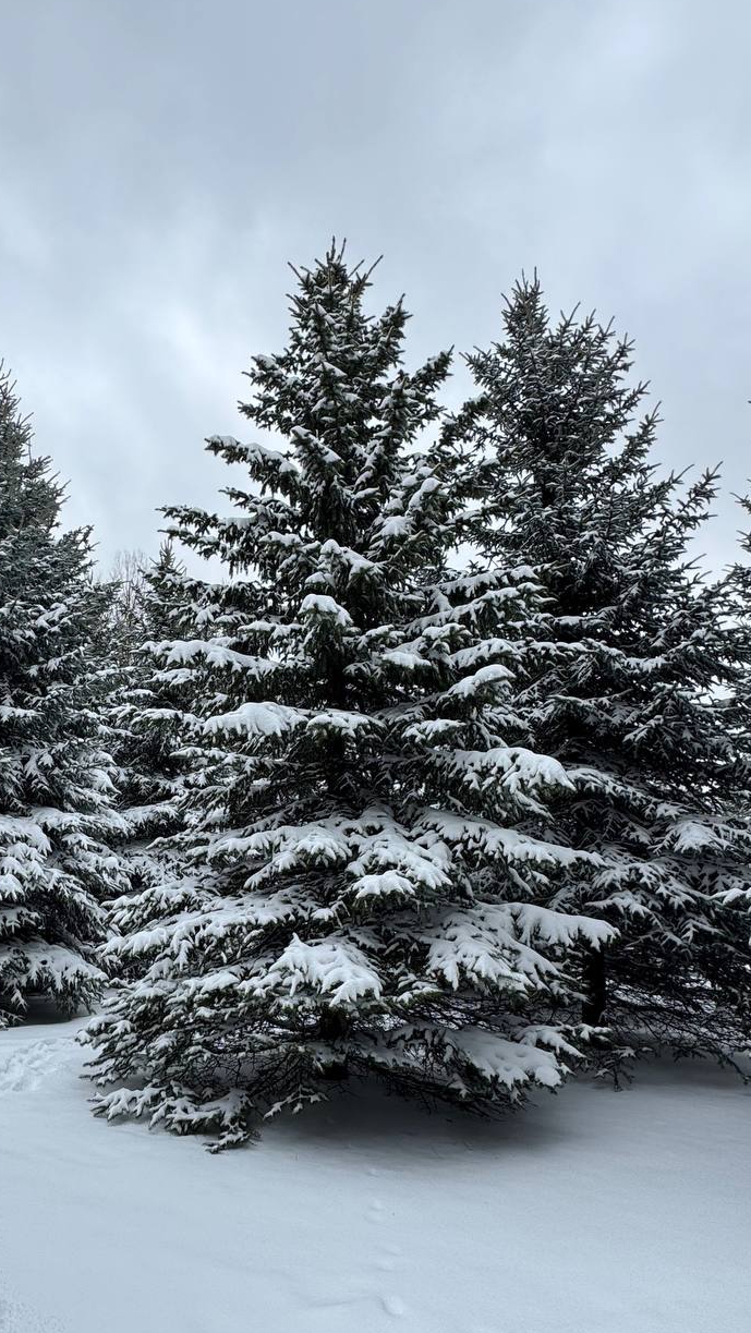 😻Куда тянет - туда и иди ! 😻/ В Москве зима😥