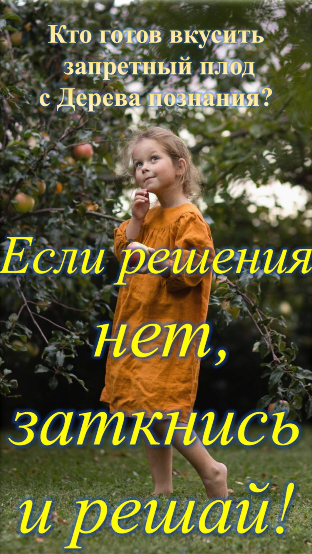 Если решения нет, заткнись и решай!