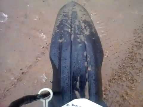 ОСТО Луч 25-янв-2020