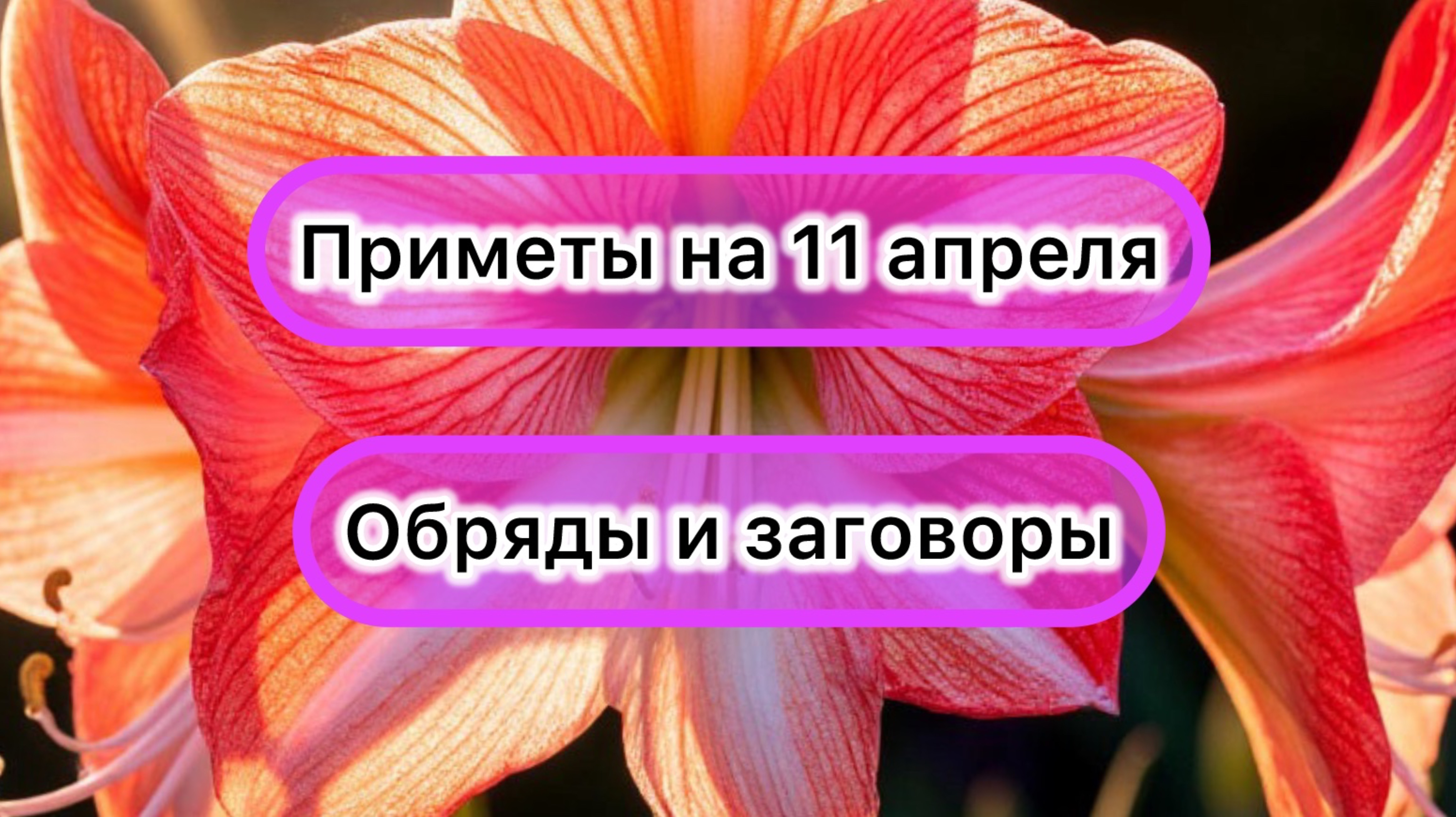 Приметы на 11 апреля 2025 года.