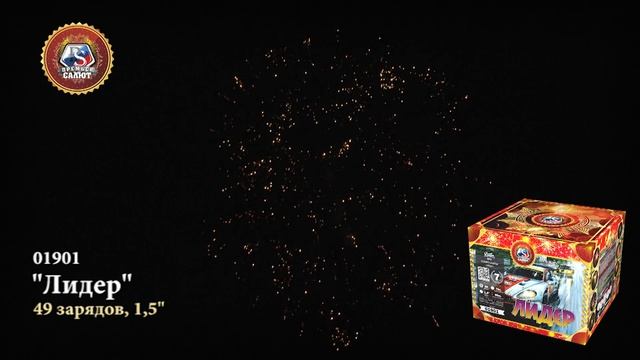 01901 Лидер