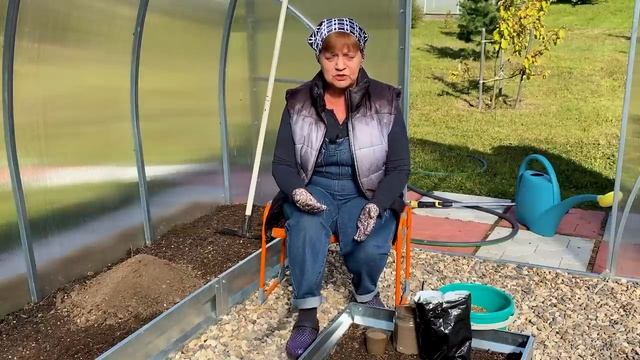 Чем помыть теплицу, какие сидераты посеять, что внести в грядки.
