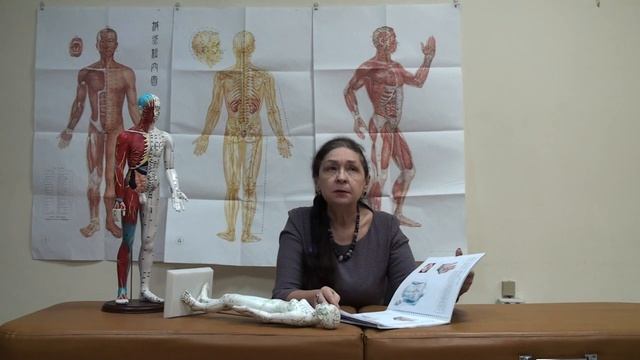 Метафоры чакр. Нейрокинезиология.