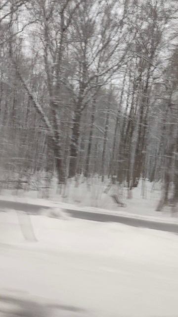 Зима?! 🙀 #edit