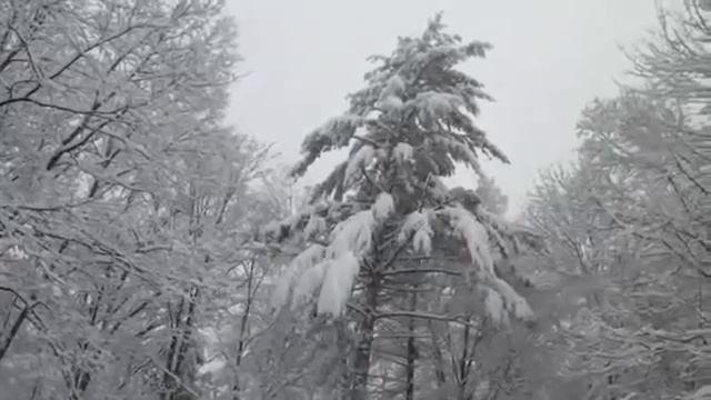 В летнем парке зима