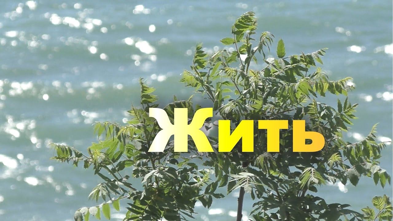 ЖИТЬ. Как научиться в мире жить. Курс «Всё в твоих руках!». Апрель 2017