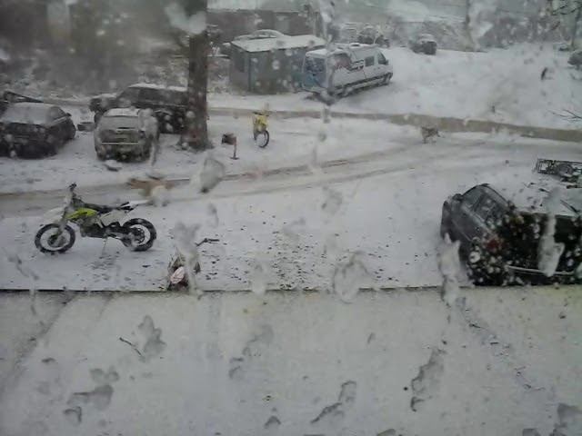 ОСТО Луч 25-янв-2020 - 4