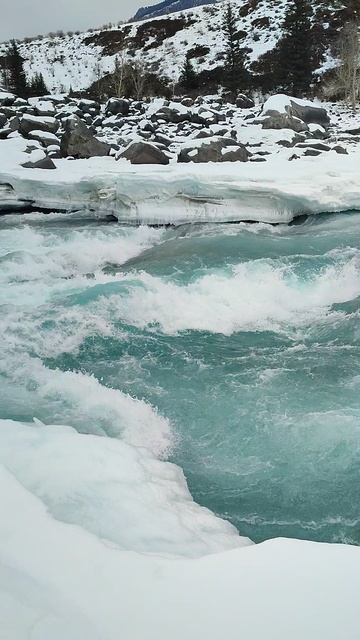 Катунь. Алтай