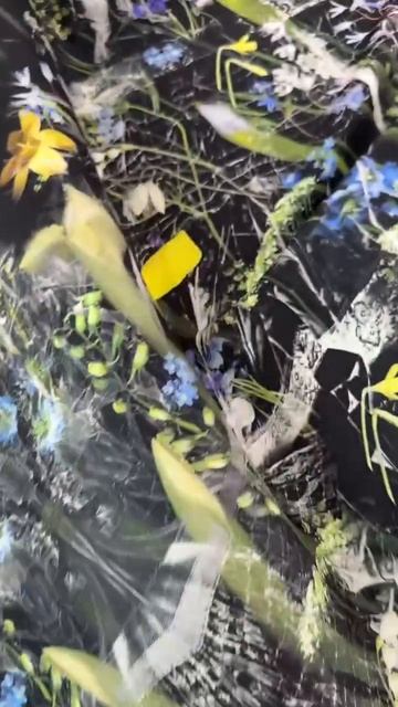 Шелк с шерстью Balenciaga