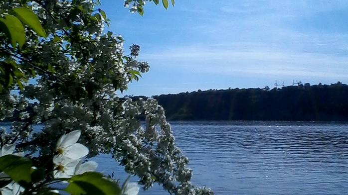 Водные мотоциклы.