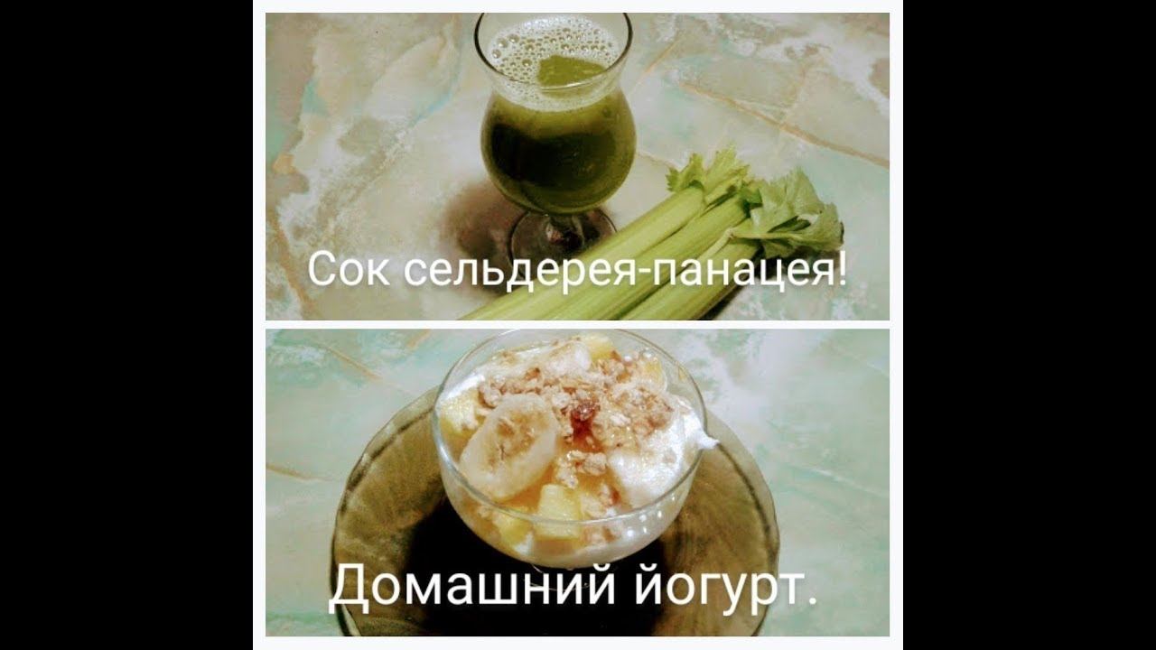 Сок сельдерея для здоровья Домашний йогурт #сельдерей #рецепты #сок #йогурт #recipe #celery #yogurt
