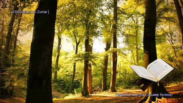 Коран - Смысловой перевод на русский язык (Эльмир Кулиев) - 039. Толпы (Az-Zumar)