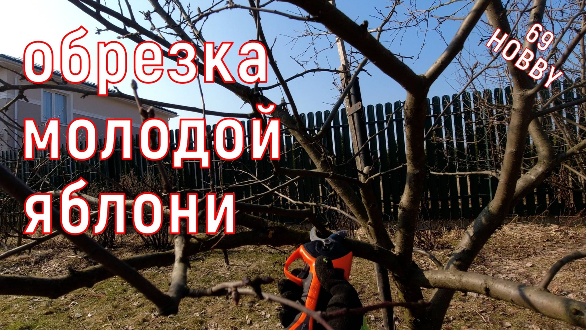 Обрезка молодой загущенной яблони!