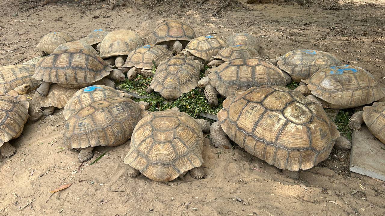 Аутентичный Хайнань для детей