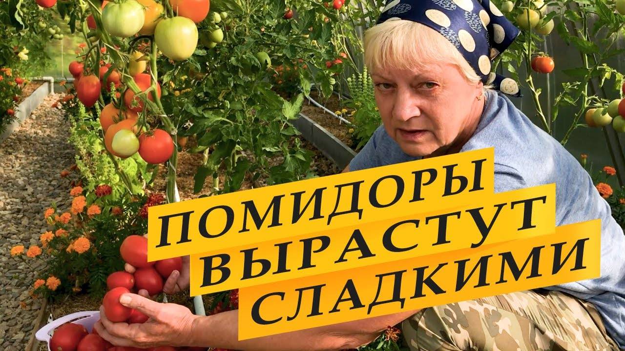 Чтобы помидоры были сладкими.