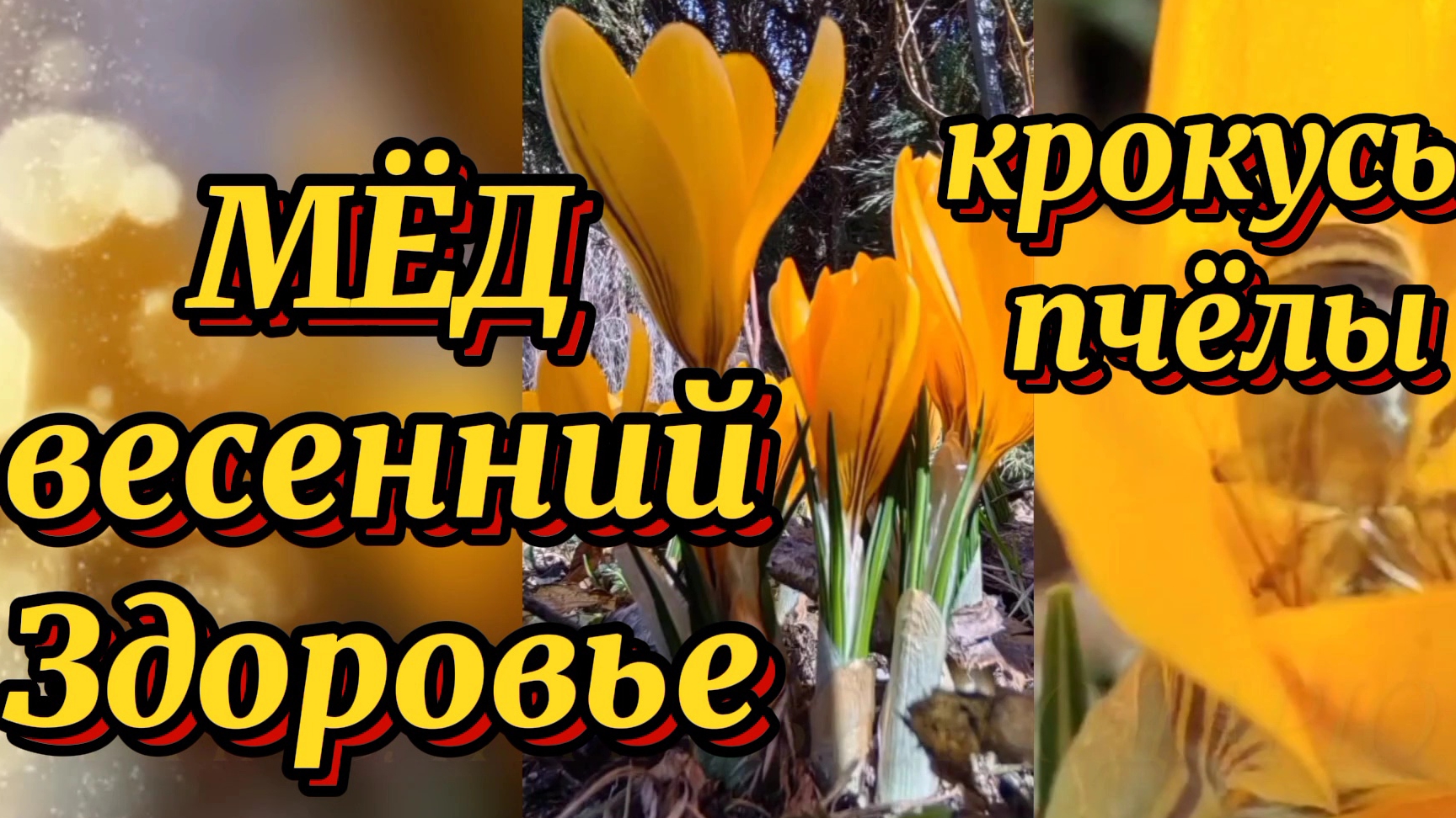 Мёд для здоровья.
Полезные советы.