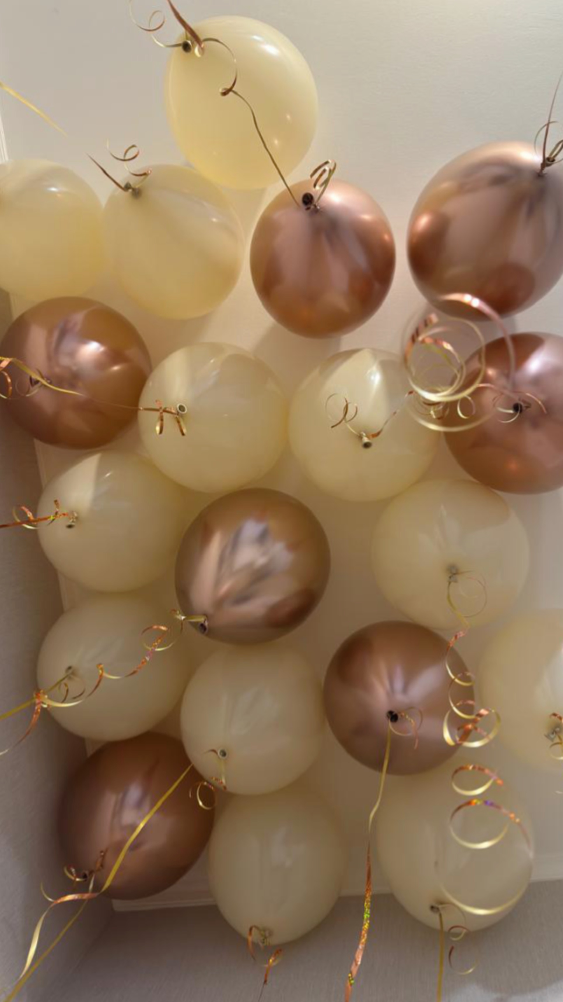 Гелиевые шары золотыми с бежевыми под потолок #гелиевыешары #воздушныешары #шарыспб #мойшар #шары