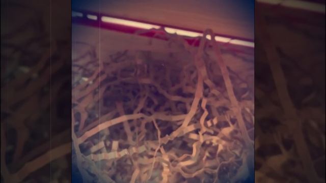 Музыкальная шкатулка из массива футляр «АРАБЕСКА»