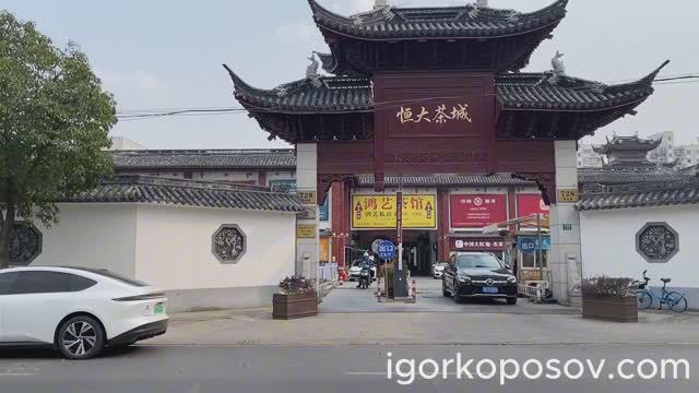 Шанхай #8 Shanghai 04.2025 Чайный рынок Hengda Tea City 恒大茶城 район Пудун.