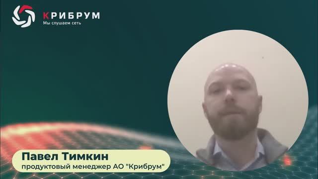 Как создать тему и запрос в «Крибрум. Про». Запись вебинара