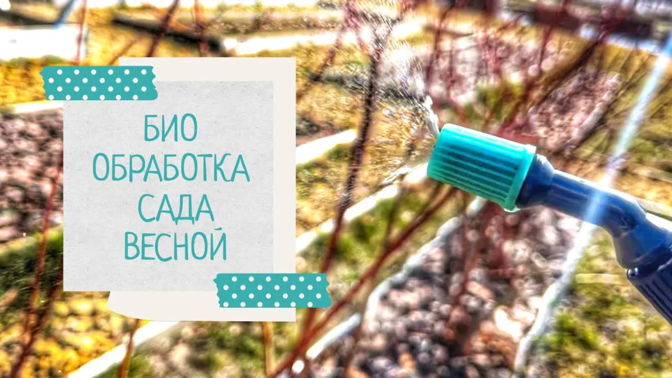 Весенняя обработка сада|Биофунгициды