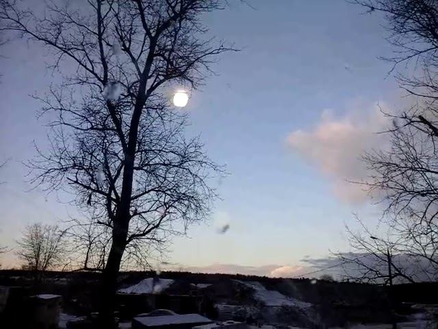 ОСТО Луч 25-янв-2020 - 6