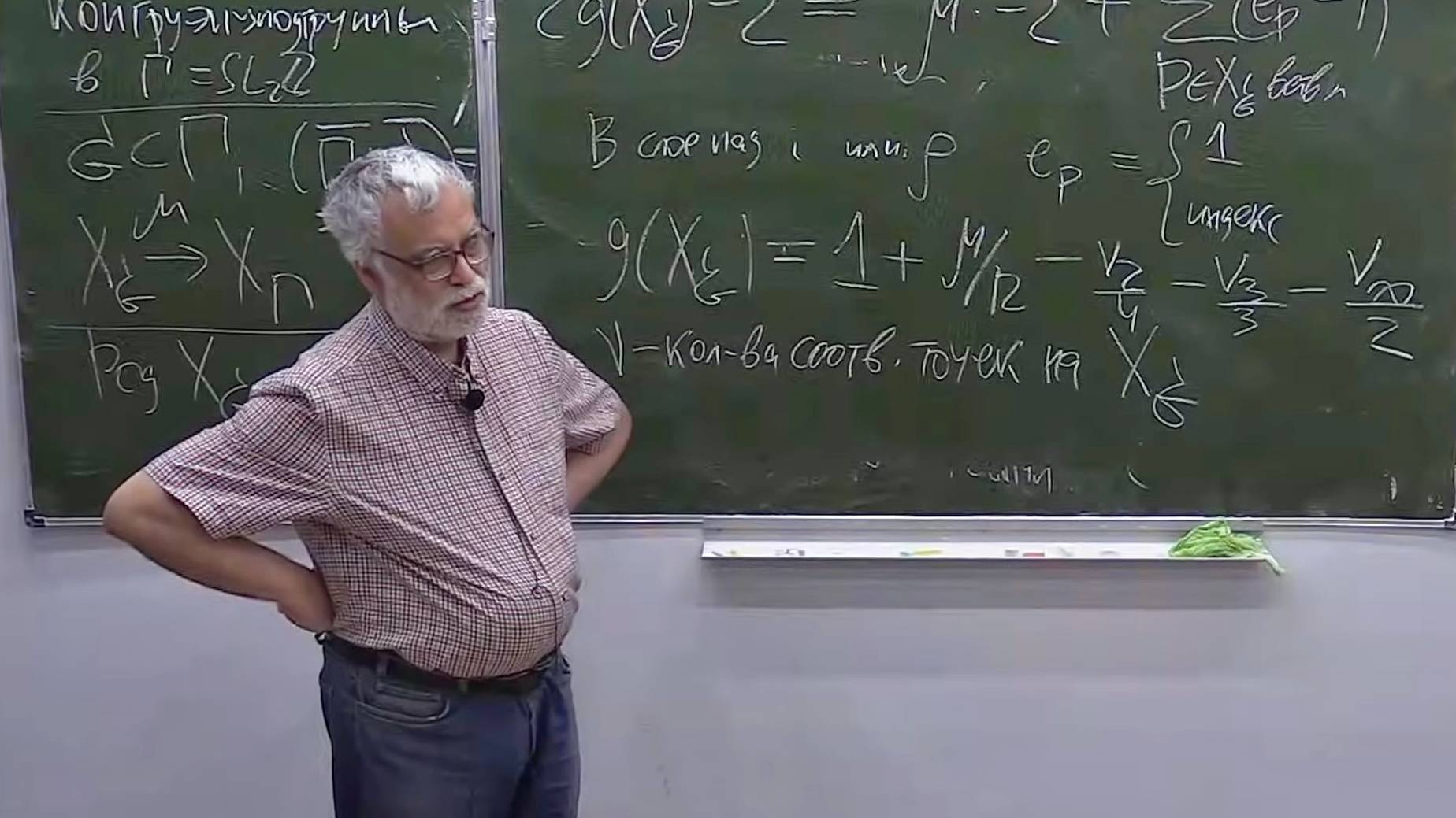 Алгебраическая теория чисел： введение. Часть 2. Лекция 9, М.Ю.Розенблюм