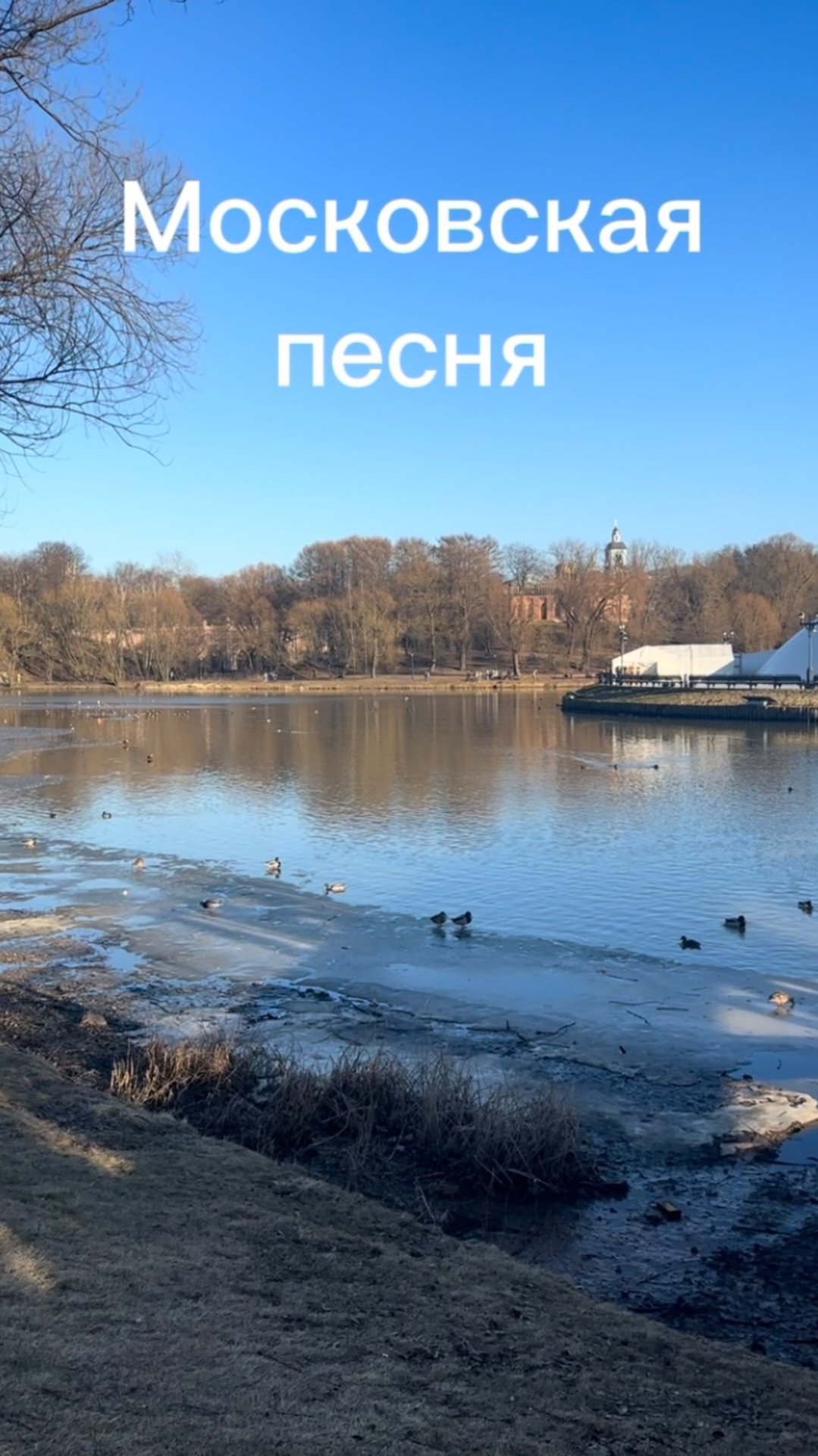 Музыка для души