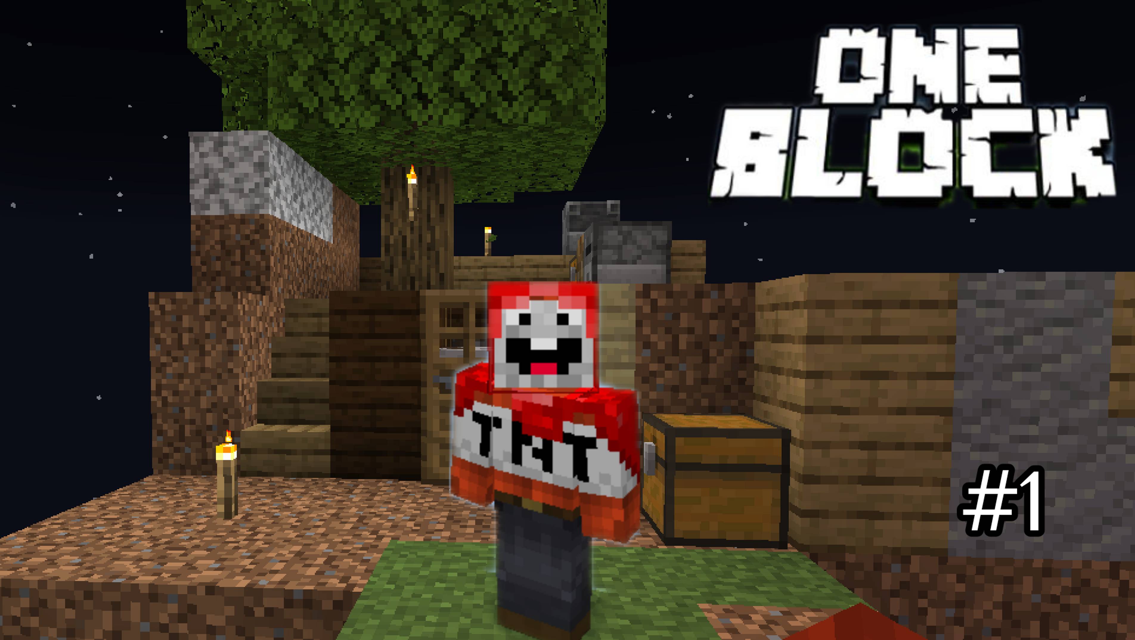 Один блок, Майнкрафт #1