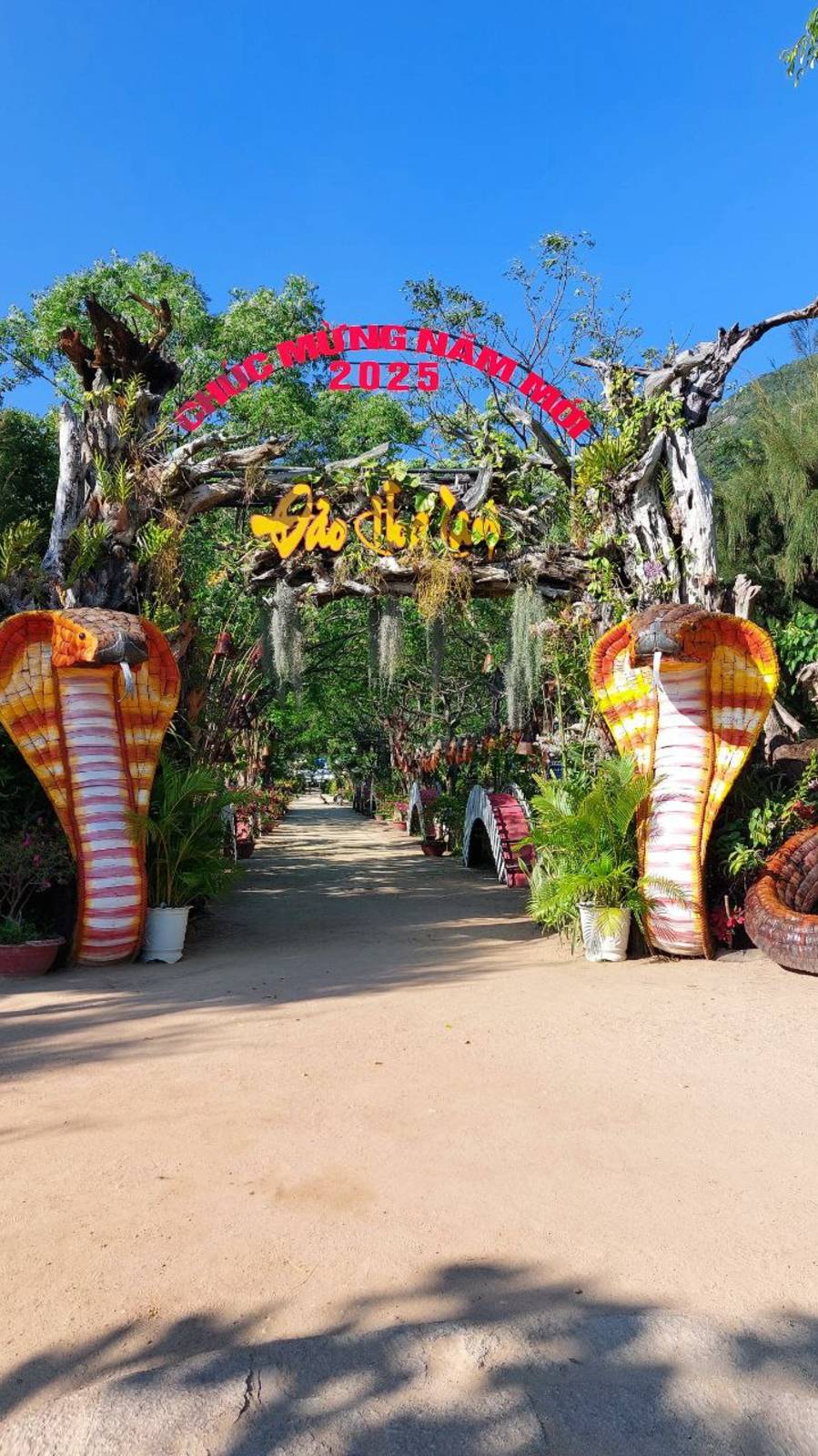 Нячанг как попасть на остров Орхидей самостоятельно