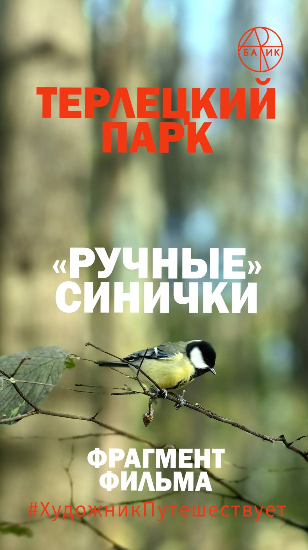 Терлецкий парк, Москва. Прогулки осенью, животные, птицы. Синичка на руке