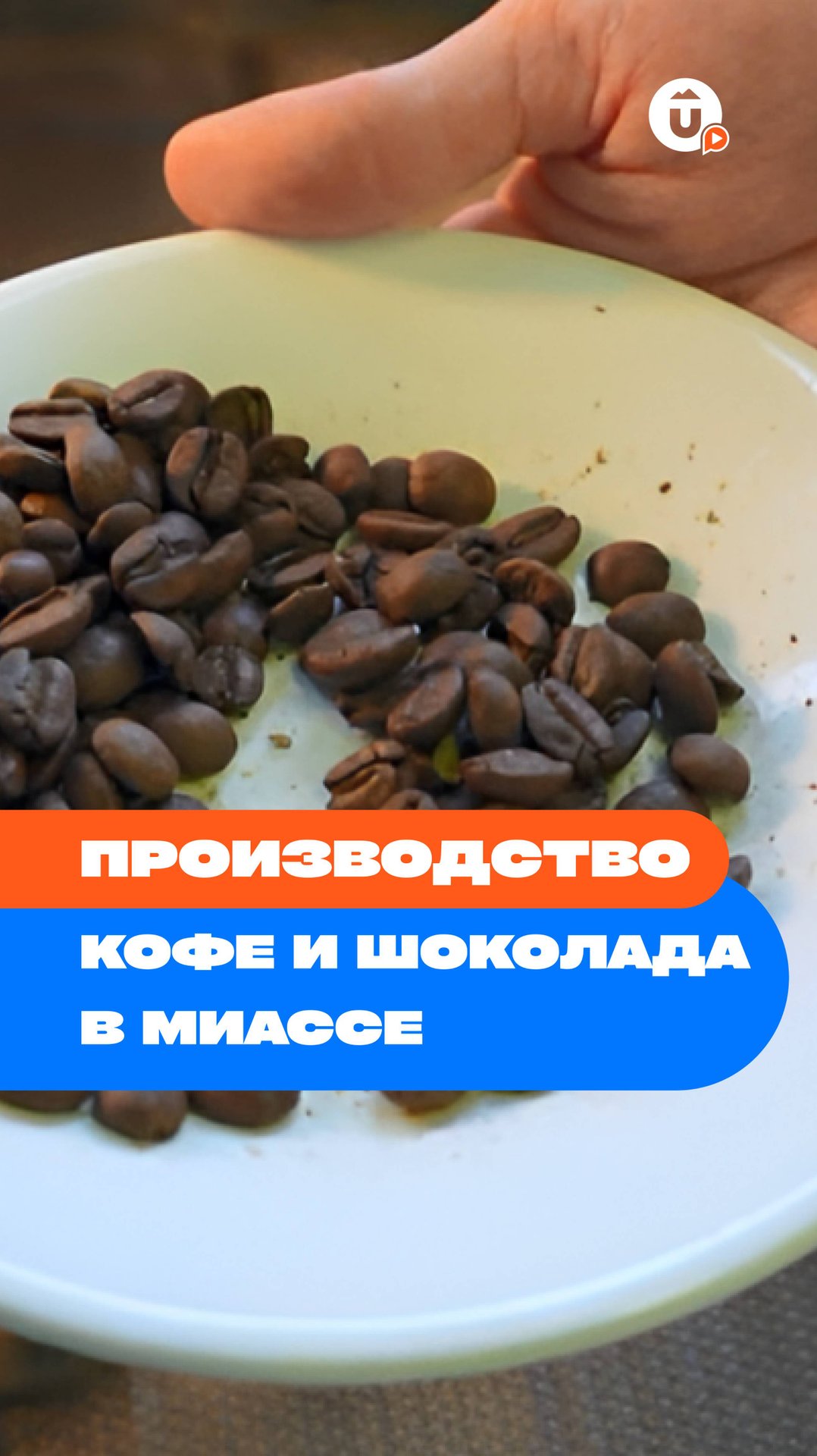 Кофейных и шоколадных дел мастера находятся в Миассе