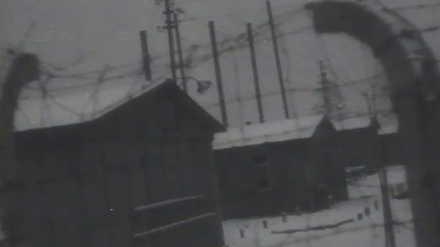 1741961036982 Март 12 Лиозно