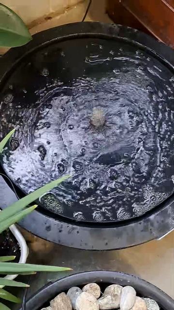 Фонтан Камень большой