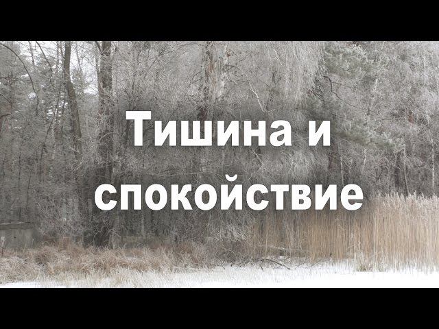 Э. Толле. Тишина и спокойствие. Медитация