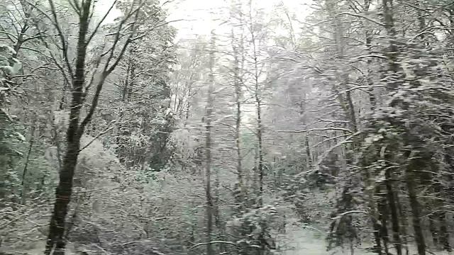 Чем ближе Нижний Новгород, тем ближе Зима