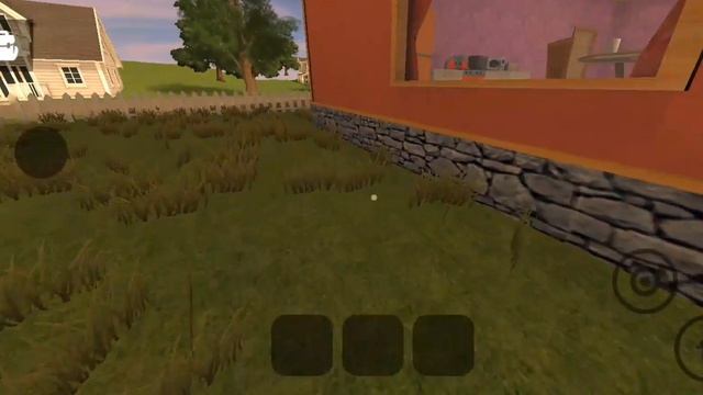 Энгри нейбор