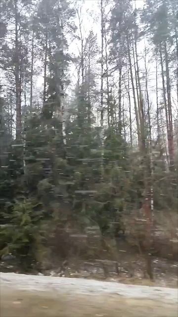 А кто заказывал зиму? А вот и она))